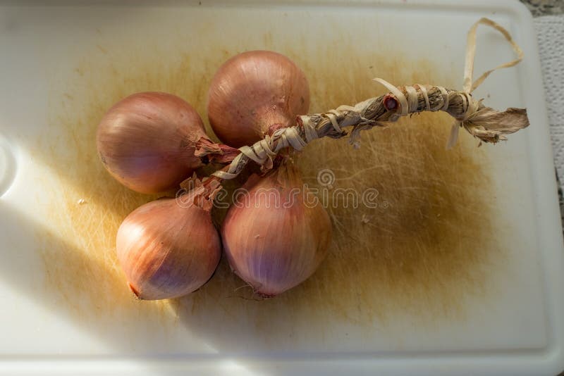 Bundle of French Roscoff Onions Stock Image - Image of culinary ...