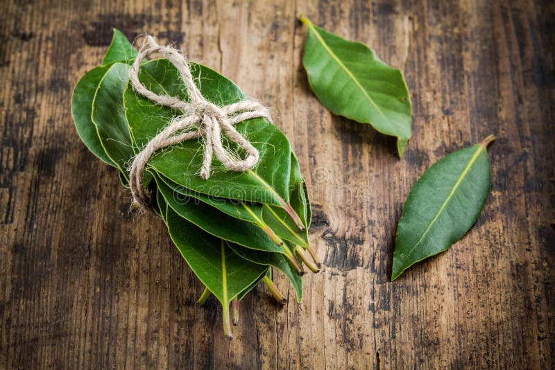 Bundle of Fresh Bay Leaves on a Wooden Background Stock Photo - Image ...