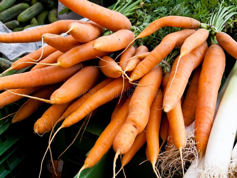 A Bundle of Fresh Carrots - Carrots Stock Photo - Image of federal ...
