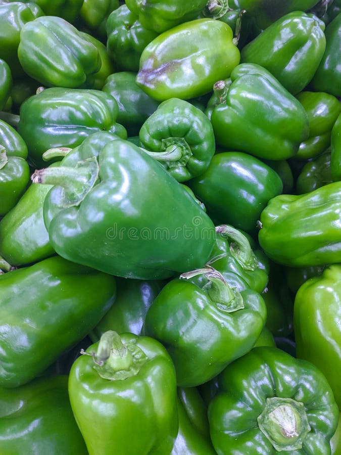 Bundle of Fresh Green Bell Papper Indoor Lighting Condition Stock Photo ...