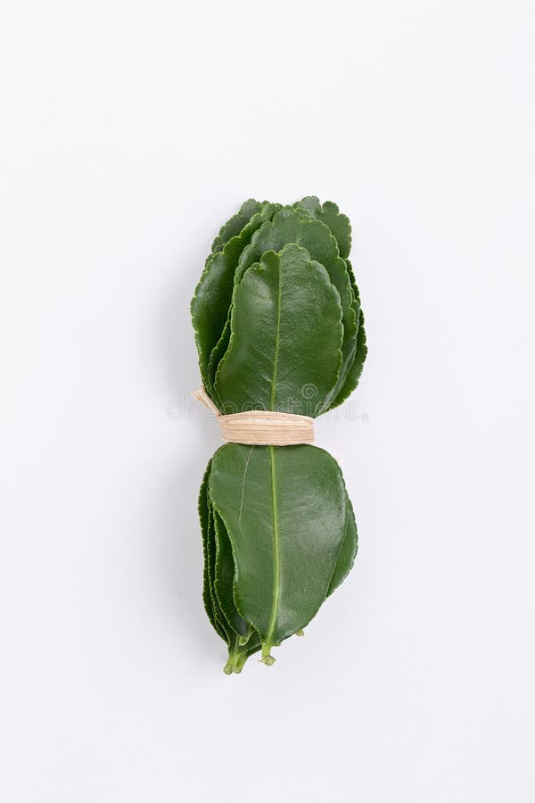 Bundle of Fresh Kaffir Lime Leaf Isolated on White. Stock Image - Image ...
