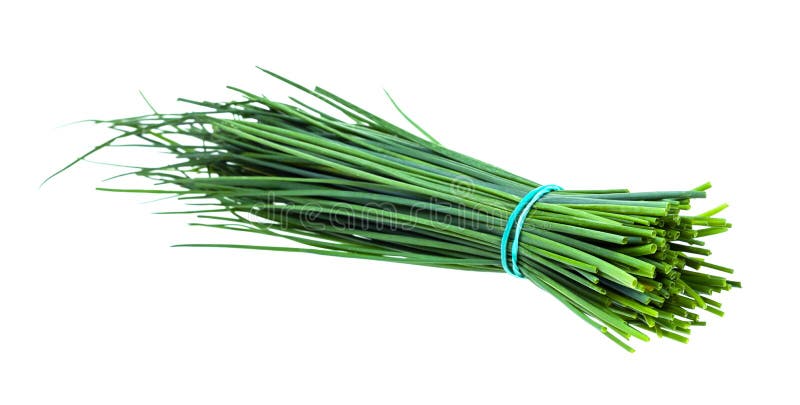 Bundle of Fresh Leaves of Chives Isolated on White Stock Image - Image ...