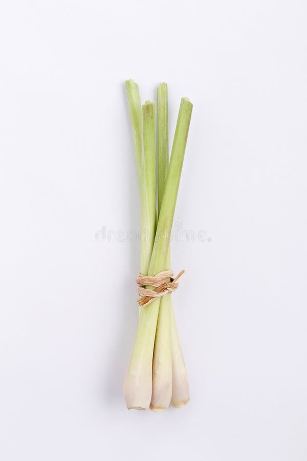 Bundle of Fresh Lemon Grass Isolated on White. Stock Photo - Image of ...