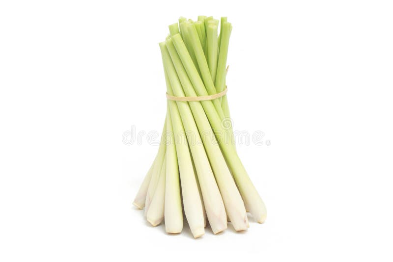 Bundle Of Fresh Lemon Grass Picture. Image: 29841606