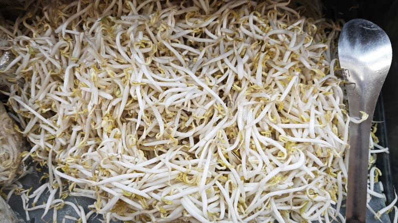 Bundle of Fresh Mung Bean Sprouts on Display. Stock Photo - Image of ...