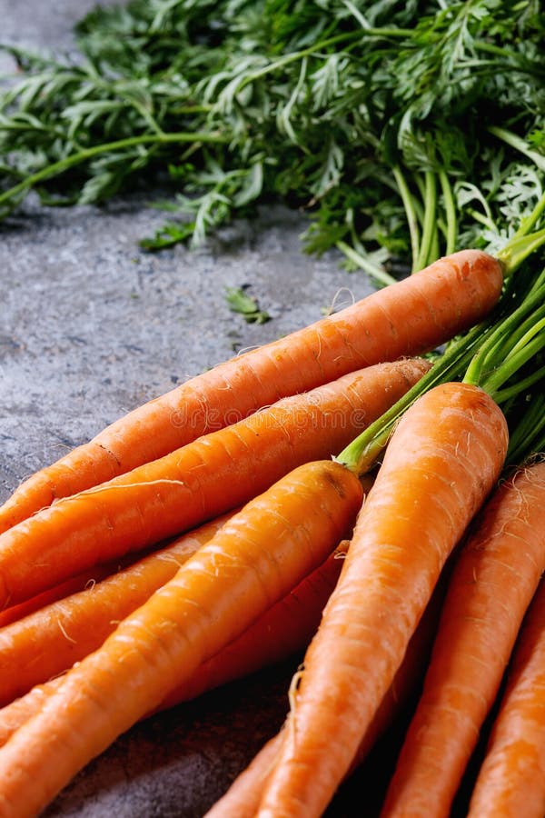 Bundle of fresh carrot stock photo. Image of diet, healthy - 99886382