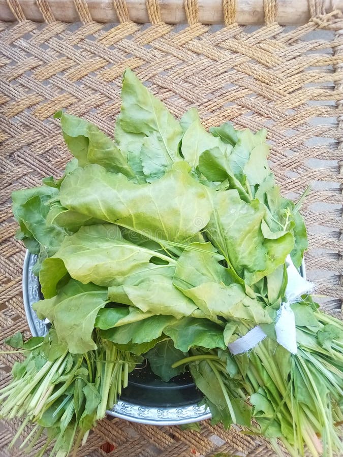 Bundle of Fresh Spinach. Healthy Food Stock Image - Image of fruit ...