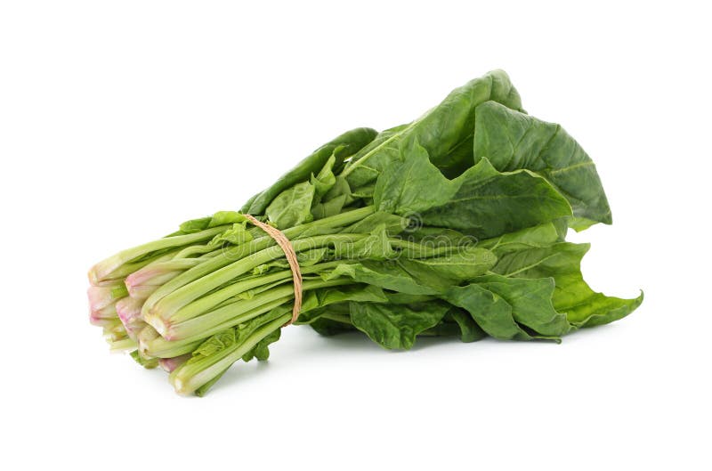 Bundle of Fresh Spinach Isolated Stock Image - Image of garnish, rocket ...
