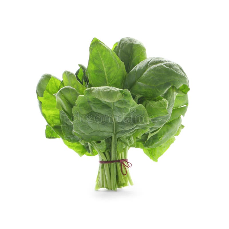 Bundle of Fresh Spinach Isolated Stock Photo - Image of garnish ...