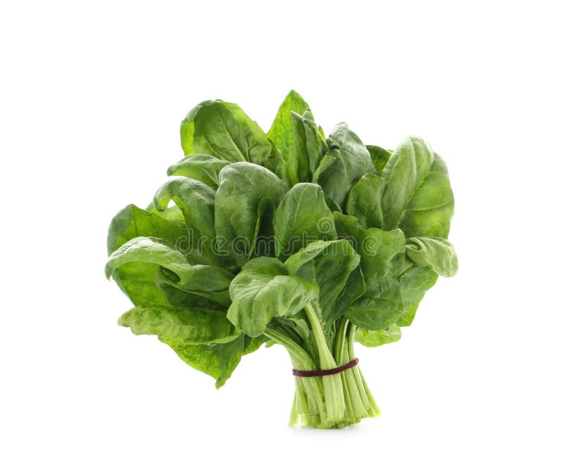 Bundle of Fresh Spinach Isolated Stock Photo - Image of nutrient, lunch ...