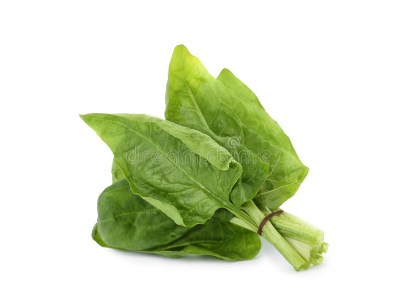 Bundle of Fresh Spinach on White Stock Image - Image of nourishing ...