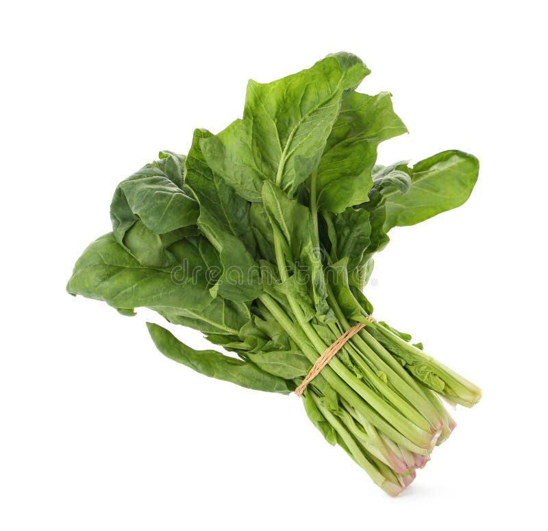 Bundle of Fresh Spinach on White Stock Photo - Image of cuisine ...