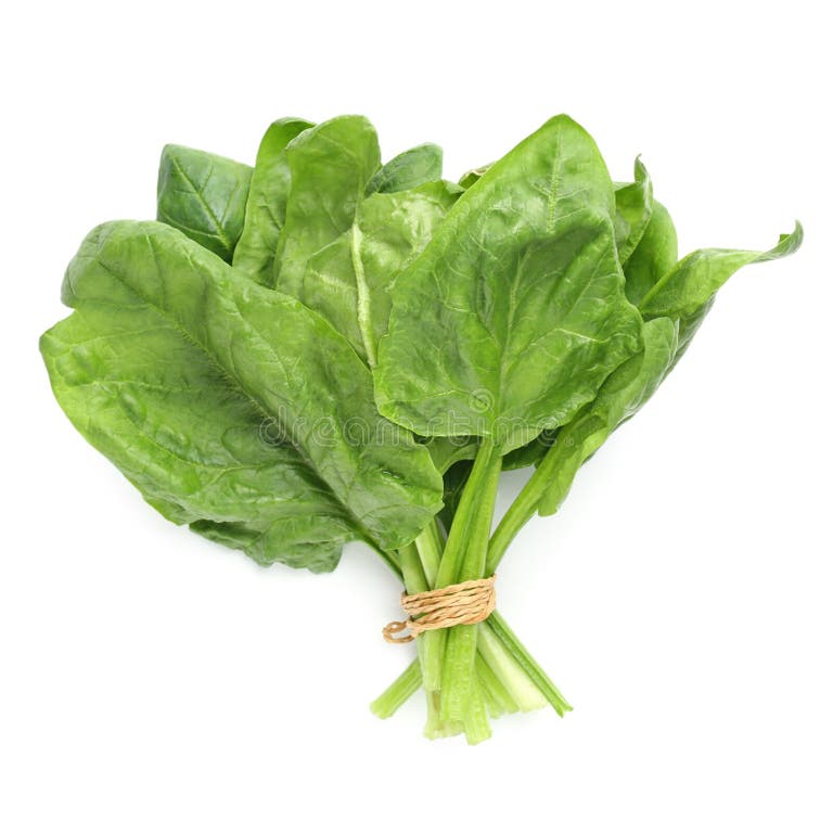 Bundle of Fresh Spinach Isolated on White Stock Image - Image of ...