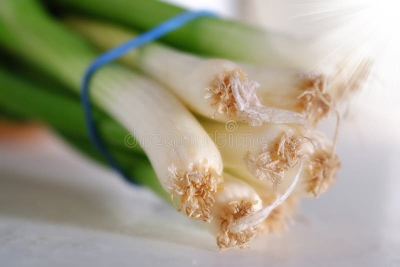 Bundle of Freshness. Cropped View of Spring Onions Tied Together. Stock ...