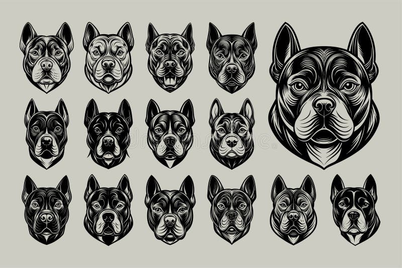 Bundle of Front View American Bully Dog Head Design Vector Stock Vector ...