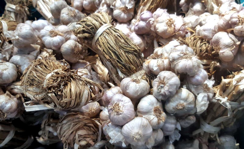 Bundle of garlic stock image. Image of effect, fruit - 135699047
