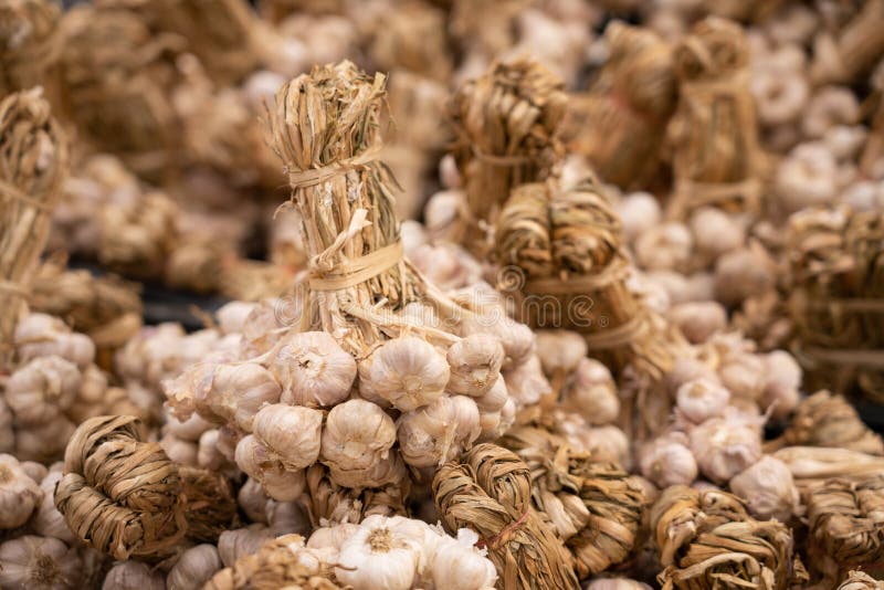 Bundle of garlic stock image. Image of eating, bundle - 135699307