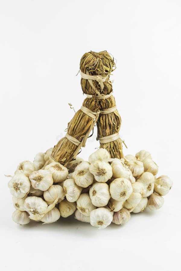 Bundle of Garlic or Garlics on Isolated Stock Image - Image of aromatic ...