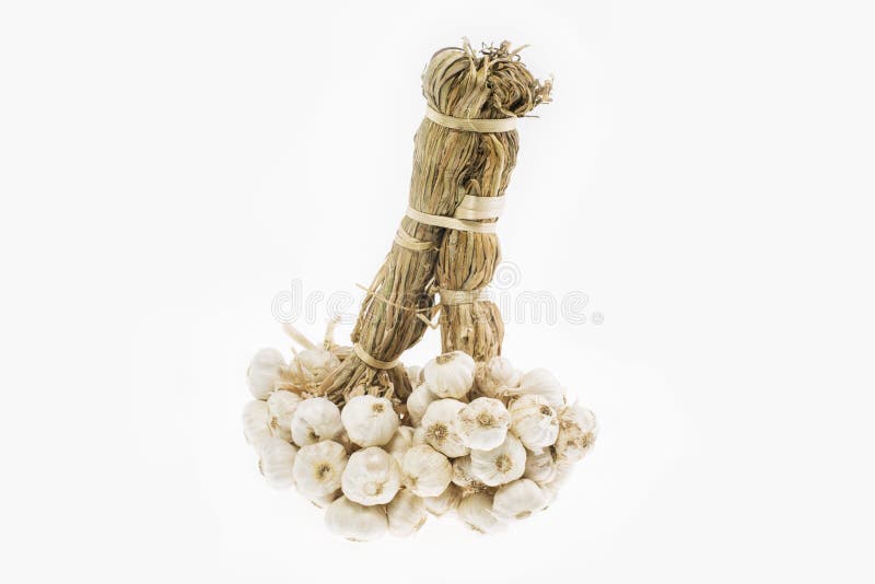 Bundle of garlic stock photo. Image of group, spice, bunch - 73352452