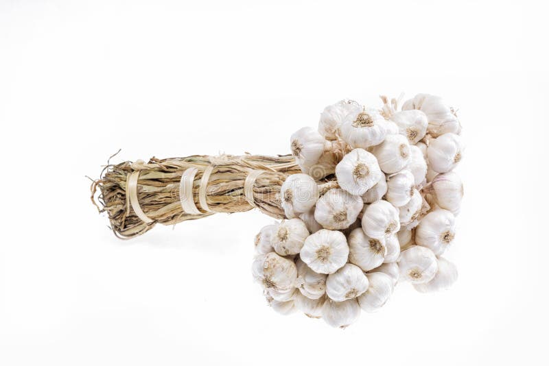 Bundle of garlic stock image. Image of condiment, healthy - 74335111