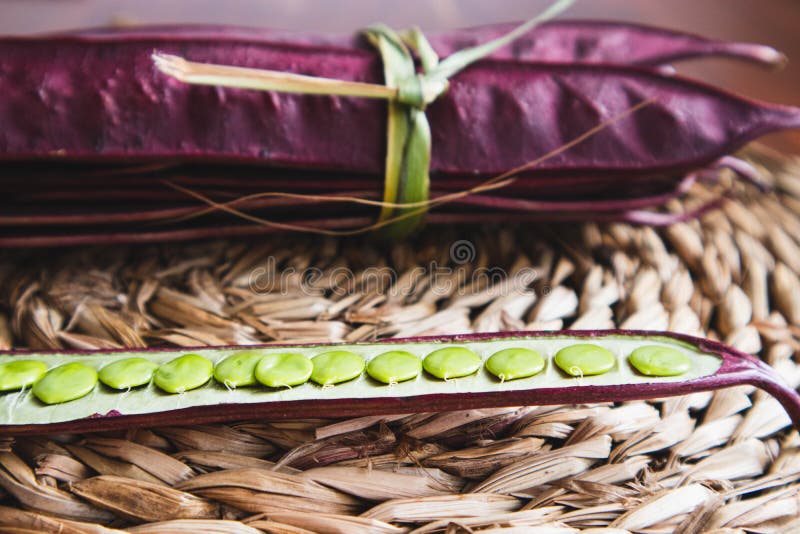 Bundle of Guaje Seed Pods on a Plate with an Open Seed Pod Stock Image ...