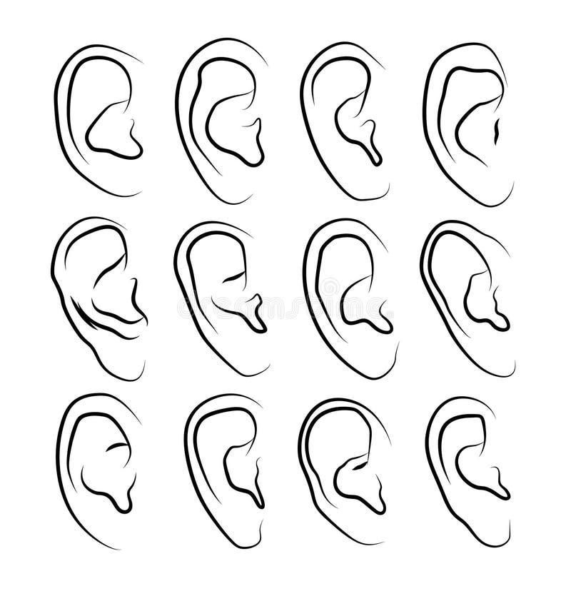 Vector Illustrations Set of Hand Drawn Human Ears in Various Shapes on ...