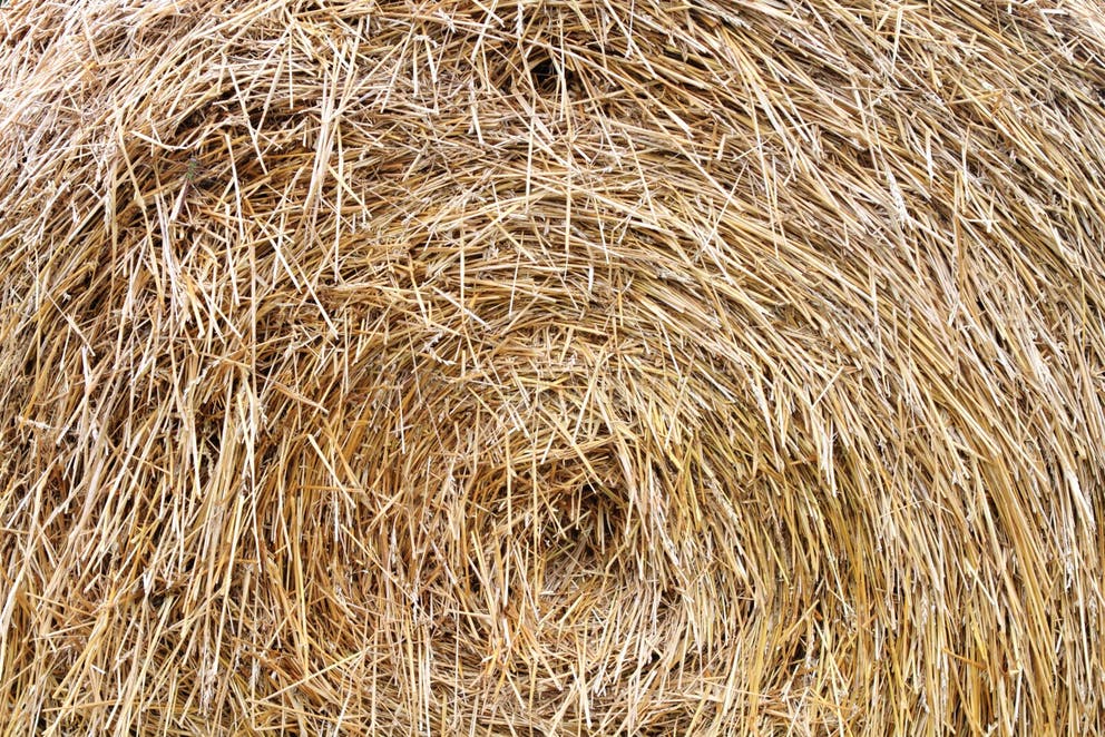 Bundle of hay stock image. Image of pattern, rural, yellow - 16254571