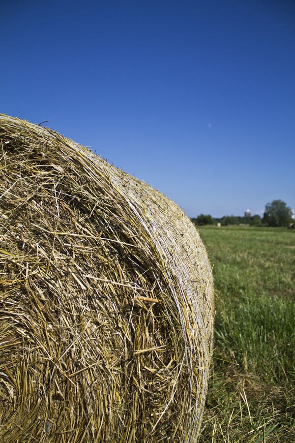Bundle of Hay stock image. Image of pattern, textured - 3010769