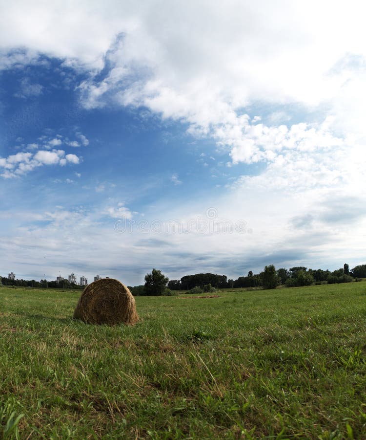 Bundle of hay stock photo. Image of grass, bale, bundles - 43789608