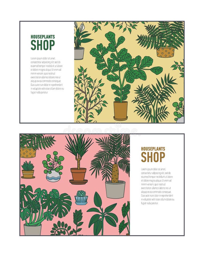 Bundle of Horizontal Banner or Flyer Templates with Houseplants Growing ...
