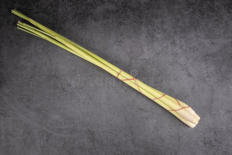 Bundle of Fresh Lemon Grass Stock Photo - Image of ginger, root: 204438992