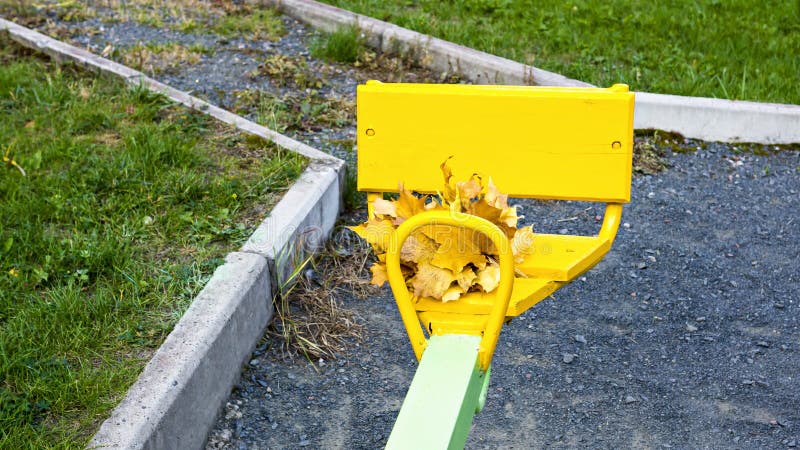 Bundle of Maple Leaves on Sit of Children Teeter Stock Photo - Image of ...