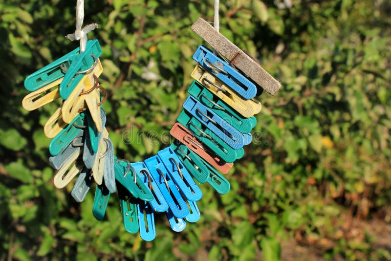 Bundle of old clothes pegs stock image. Image of laundry - 100839251