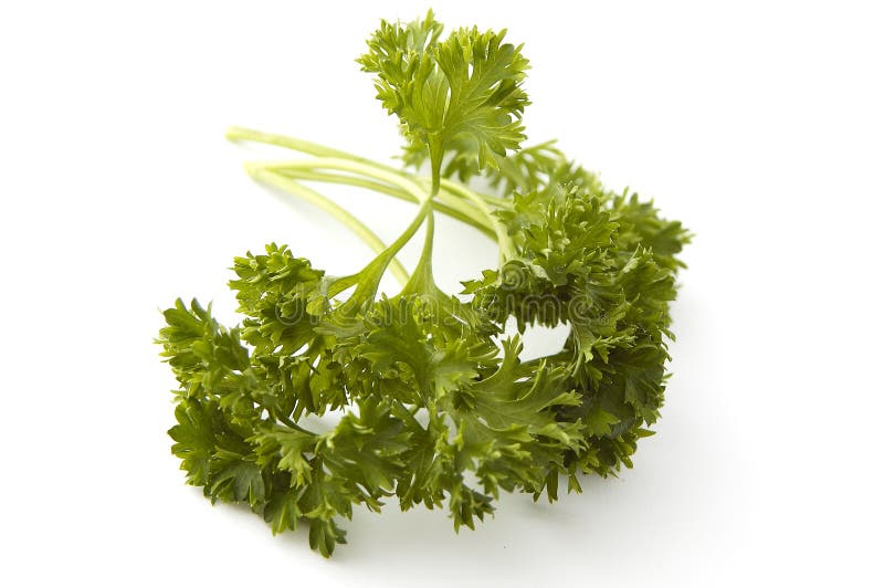 42+ Bundle parsley Free Stock Photos - StockFreeImages