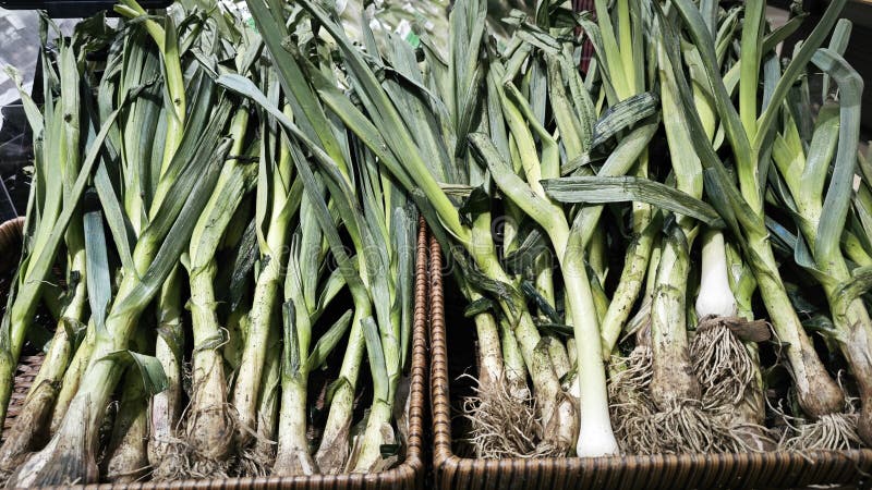 Bundle of Raw Fresh Red Leek Vegetable. Stock Image - Image of salad ...