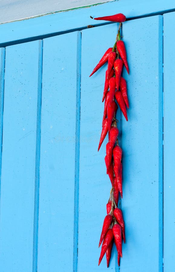 Bundle red chillies stock image. Image of hang, bundle - 17674629