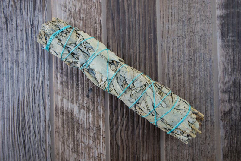 Bundle of Sage Tied with Blue String Stock Photo - Image of smell ...