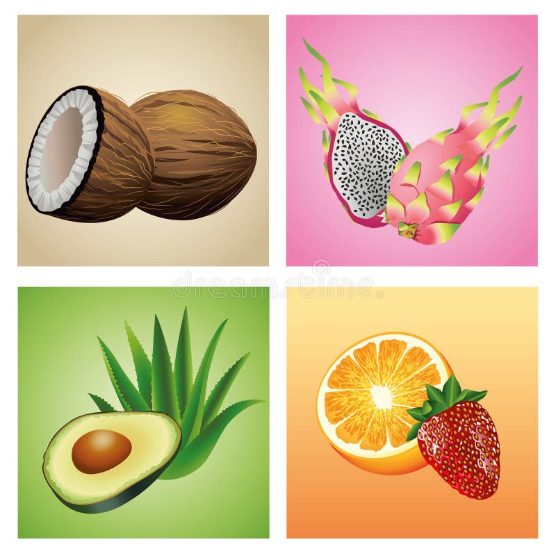 Bundle of Six Tropical Fruits and Plants Set Icons Stock Vector ...