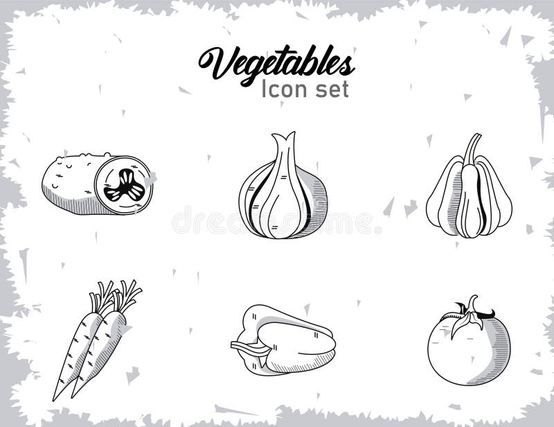 Bundle of Six Vegetables with Lettering Icons Stock Vector ...