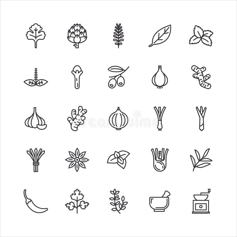 Bundle of Spices and Herbs Icon Vector Set Stock Vector - Illustration ...