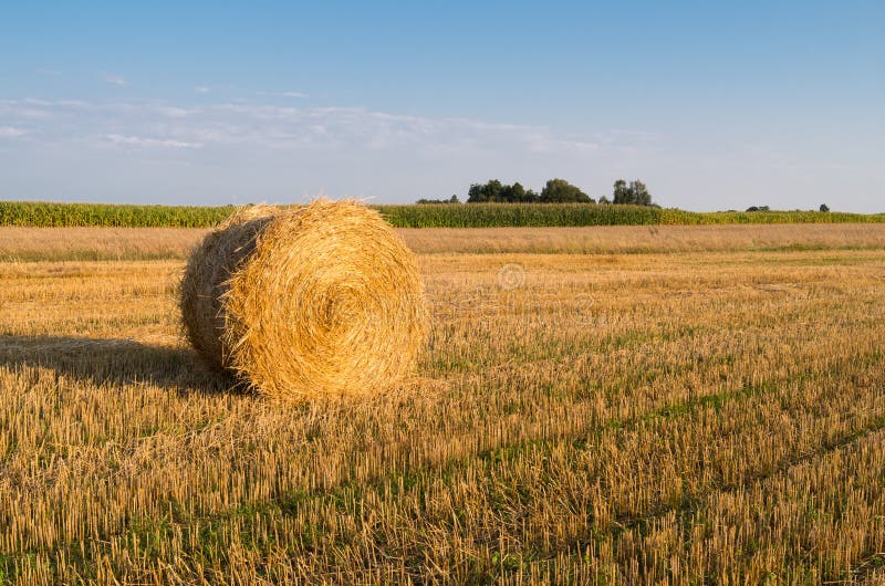 Bundle of Old Straw Rope stock image. Image of tied, straw - 49681825