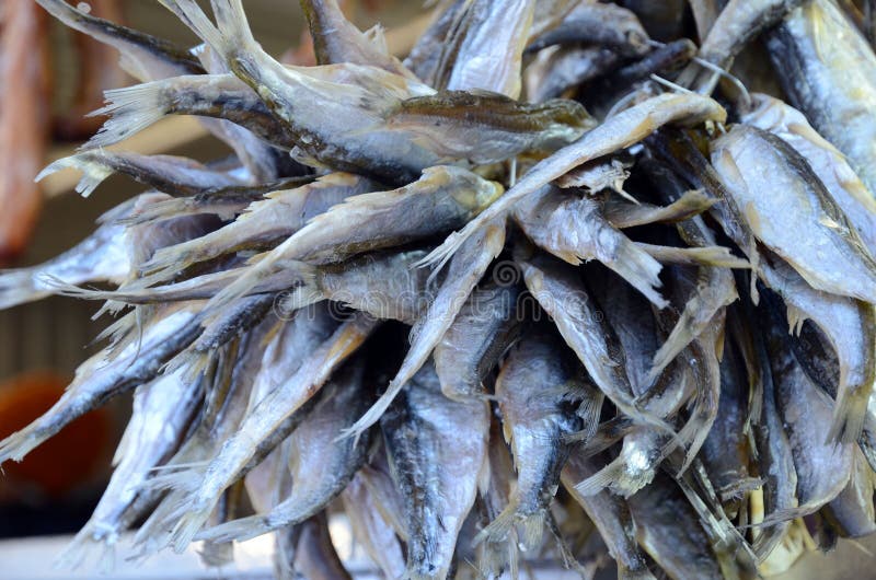 The Bundle of Sun-dried Fish at the Fish Shop in Samara Stock Photo ...