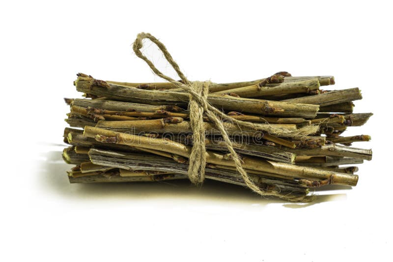 A Bundle of Twigs Tied with a Hemp Rope on a White Background Stock ...