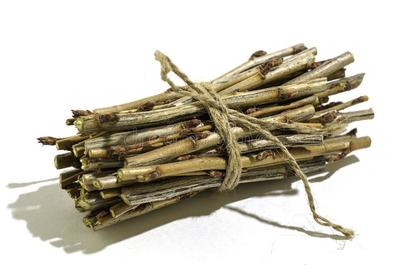 A Bundle of Twigs Tied with a Hemp Rope on a White Background Stock ...