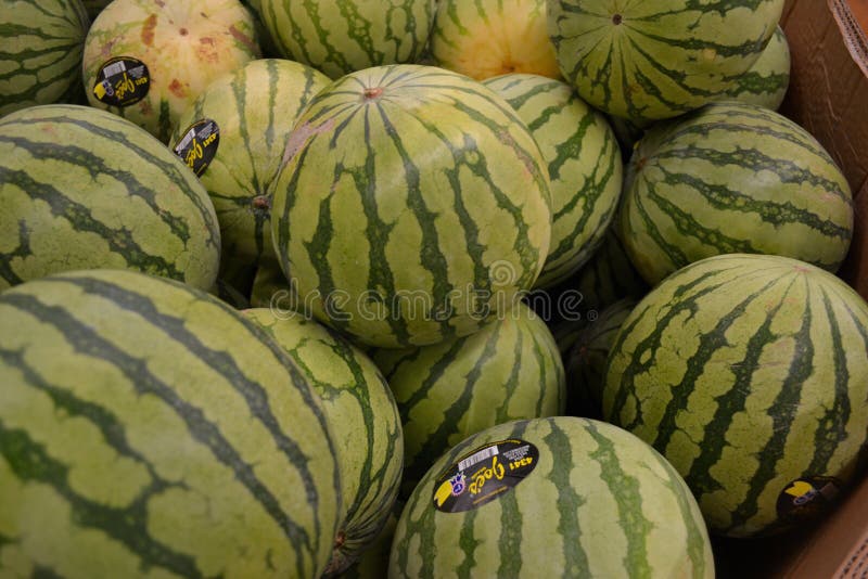 Bundle of Watermelons Closeup View Inside of a Grocery Store. Editorial ...