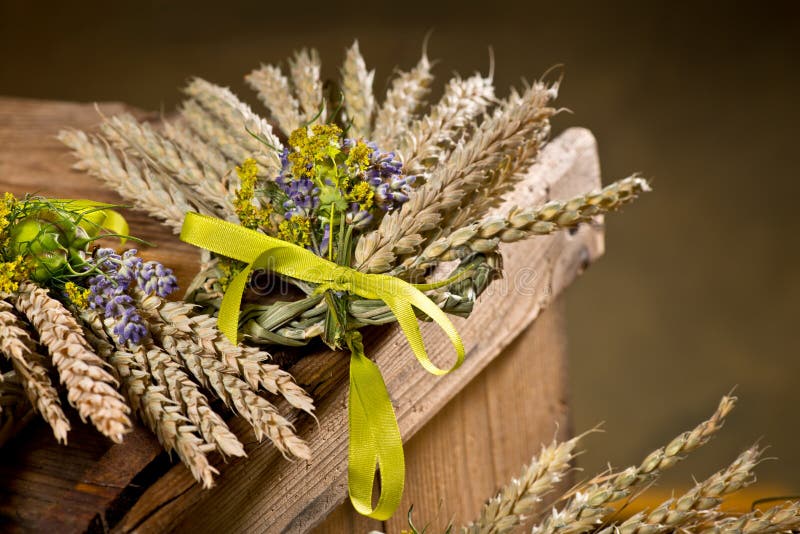 Bundle of wheat stock image. Image of bunch, bundle, flower - 62102139