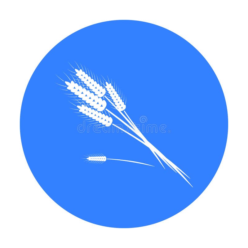 Bundle of Wheat Icon in Isolated White Background. Canadian ...