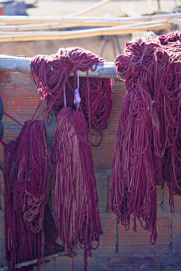 Bundles of Dyed Wool Drying Stock Photo - Image of industry, colour ...
