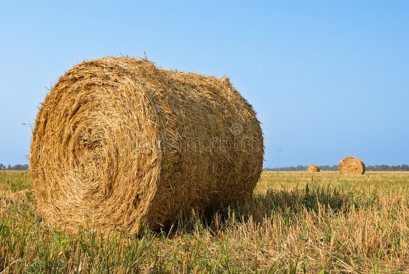 Bundles of Hay with a Panoramic View of Pieniny Stock Image - Image of ...