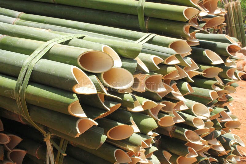Bundles of Pointed Bamboo Logs for Construction Stock Image - Image of ...